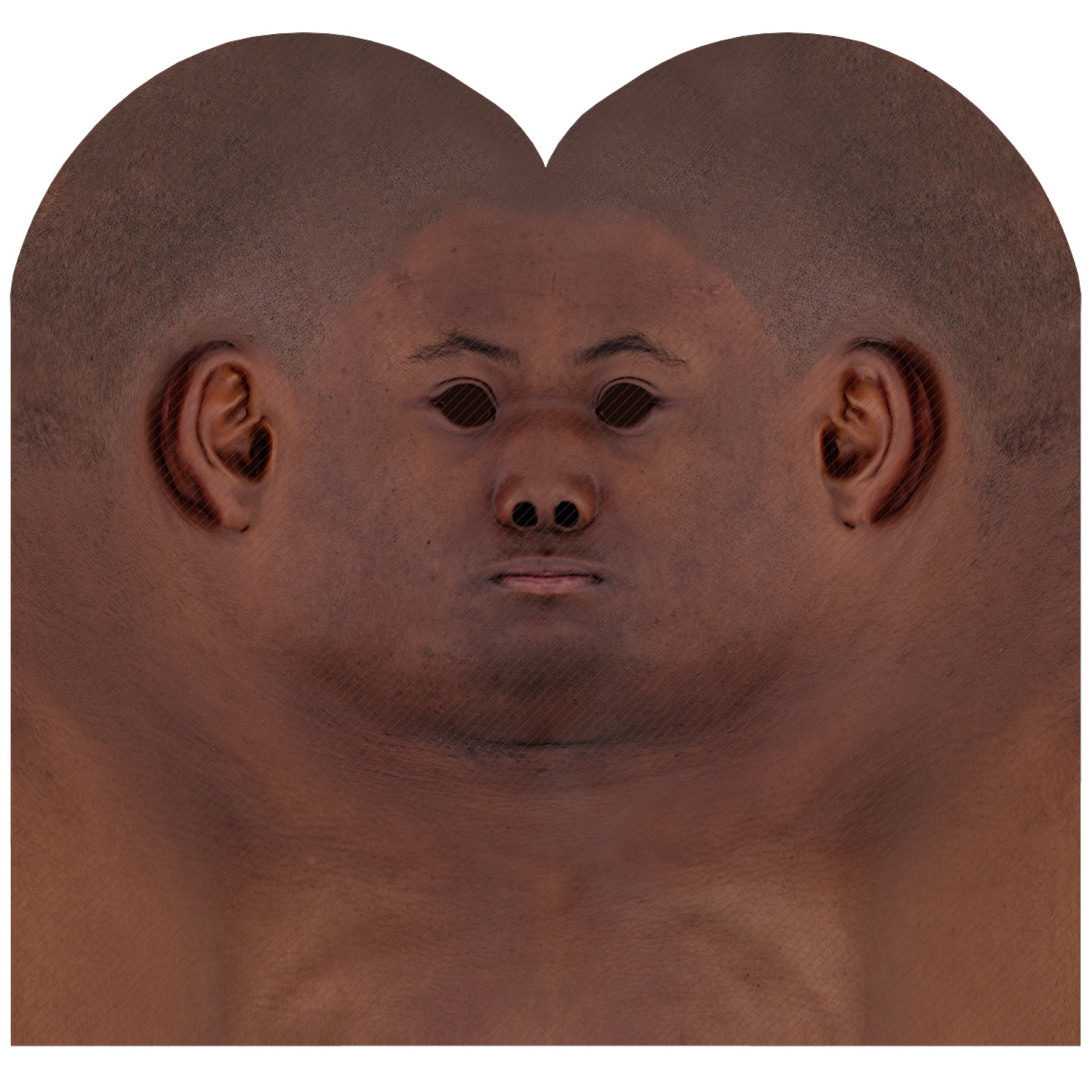 Male head texture map 17